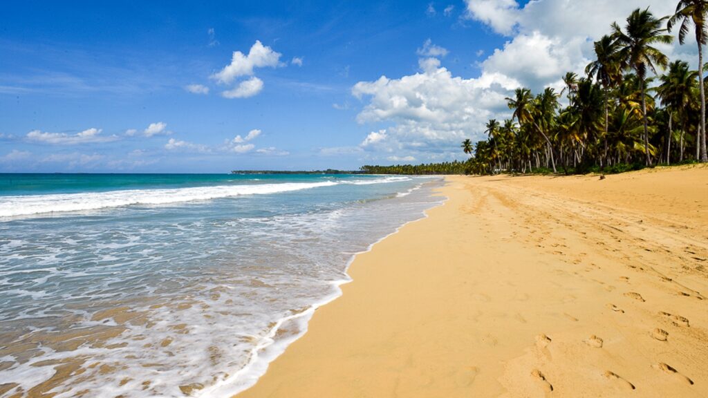 Las 15 playas de República Dominicana que debes visitar - One Two ...
